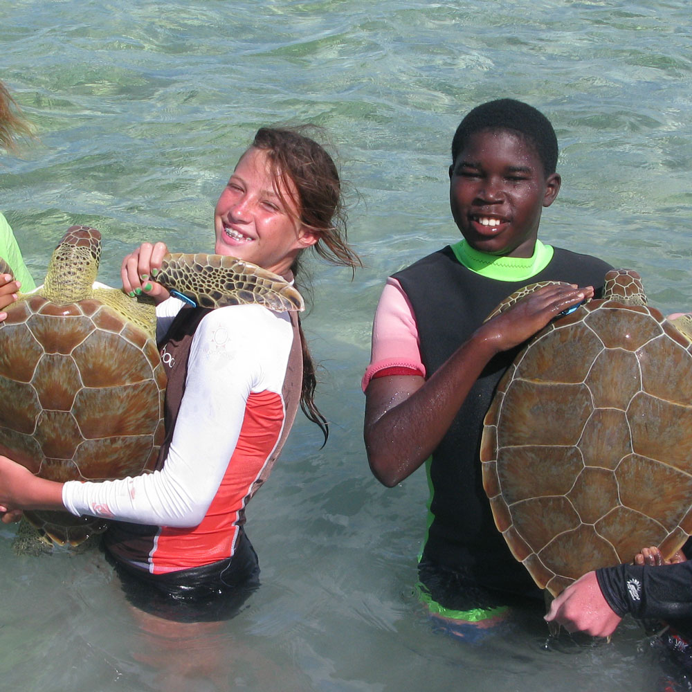 UF researchers, Disney team up to protect threatened species