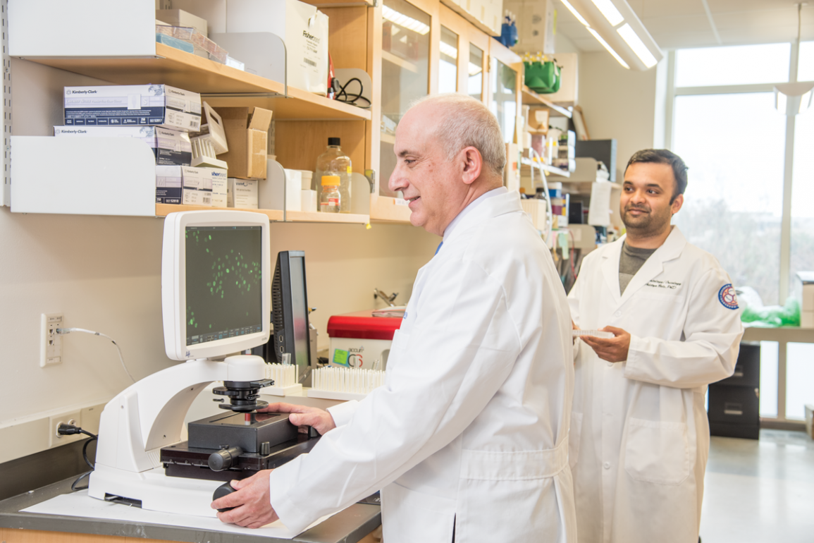 The CRISPR Revolution