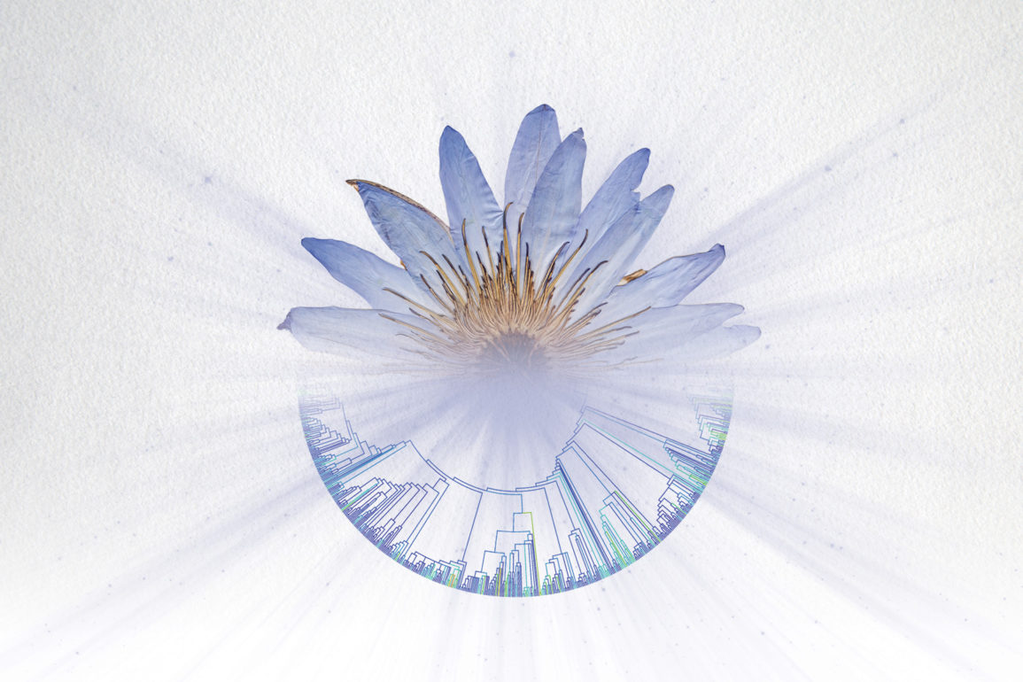 6 things you can do to cope with boredom at a time of social distancing