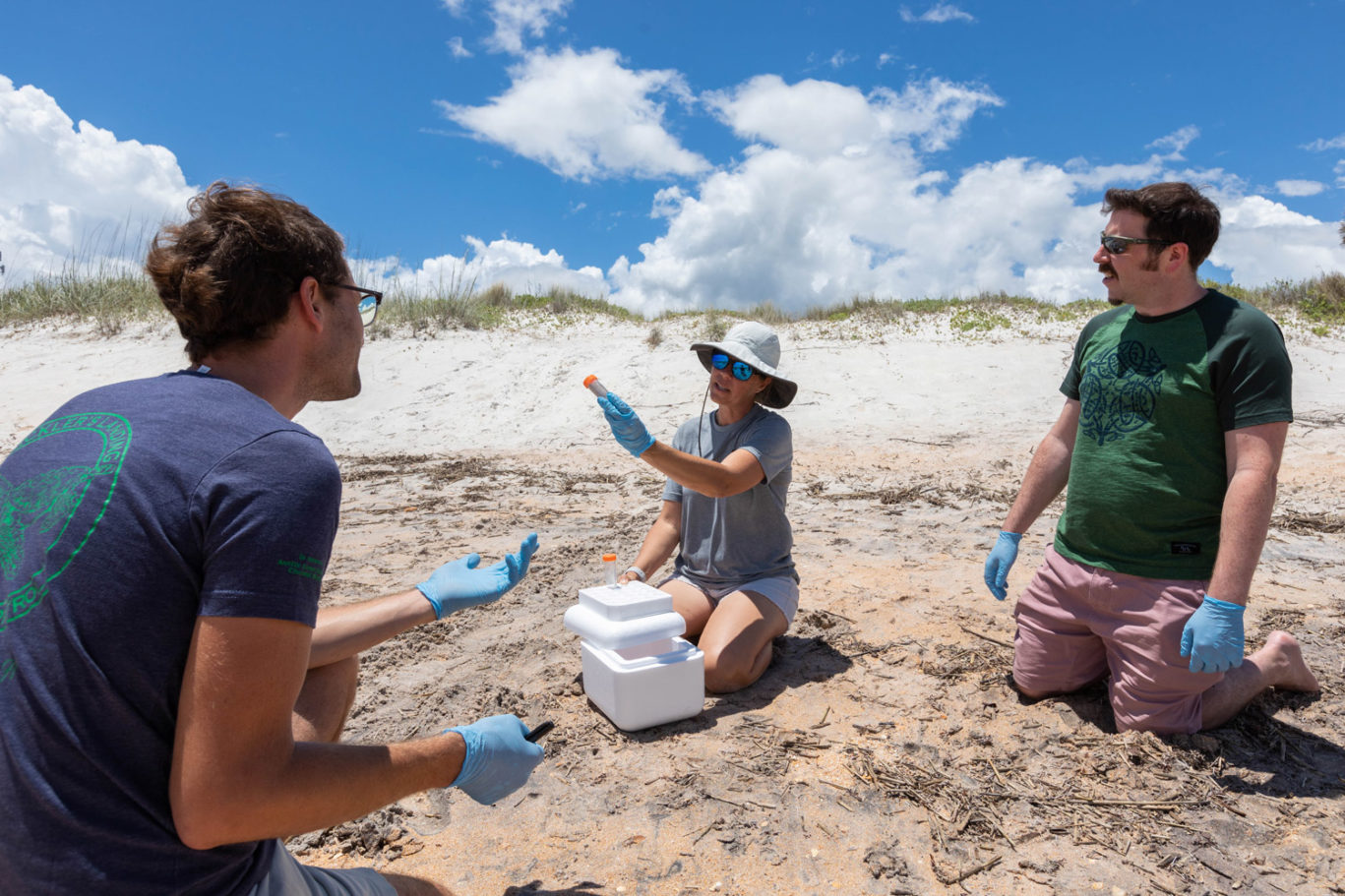 Traces of DNA in sand, water could be key to protecting sea turtles ...