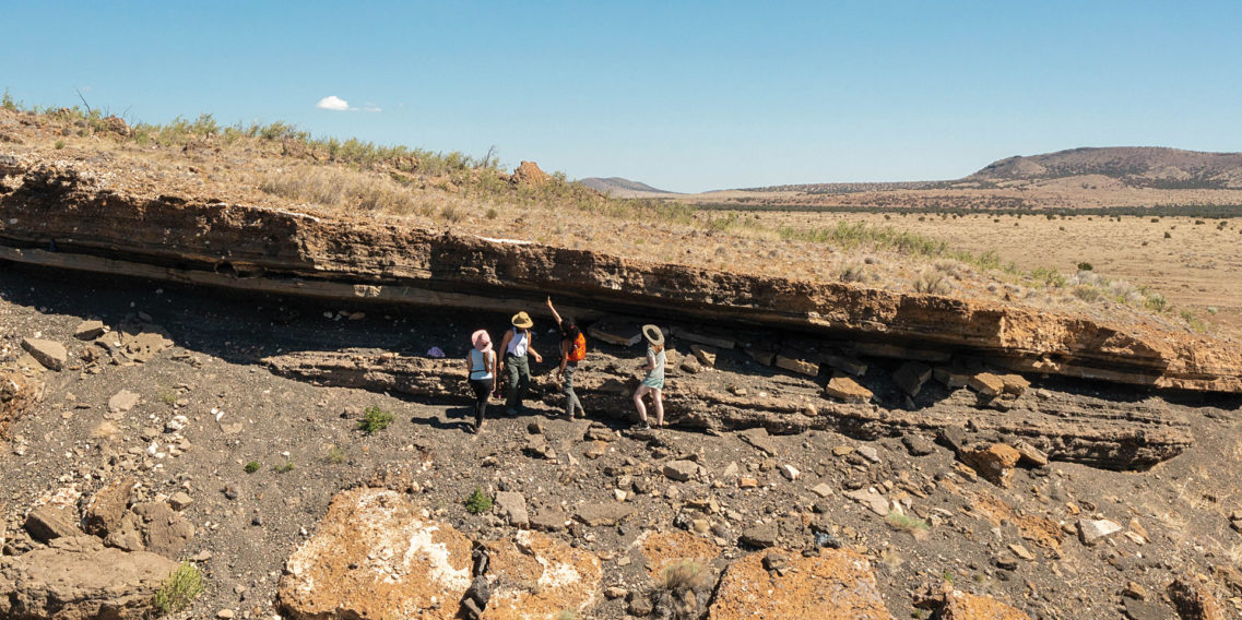 Explore Research at the University of Florida