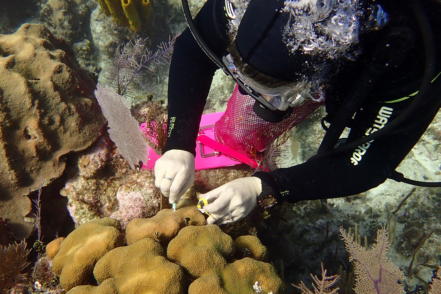 Summer 2022 Features - Explore Magazine