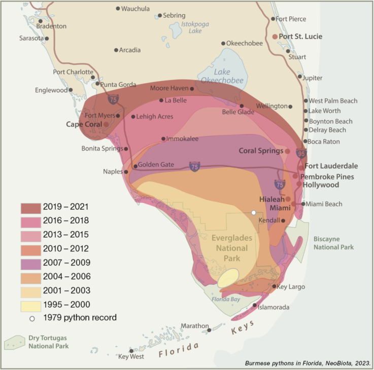 Can tech tackle pythons? - Explore Magazine