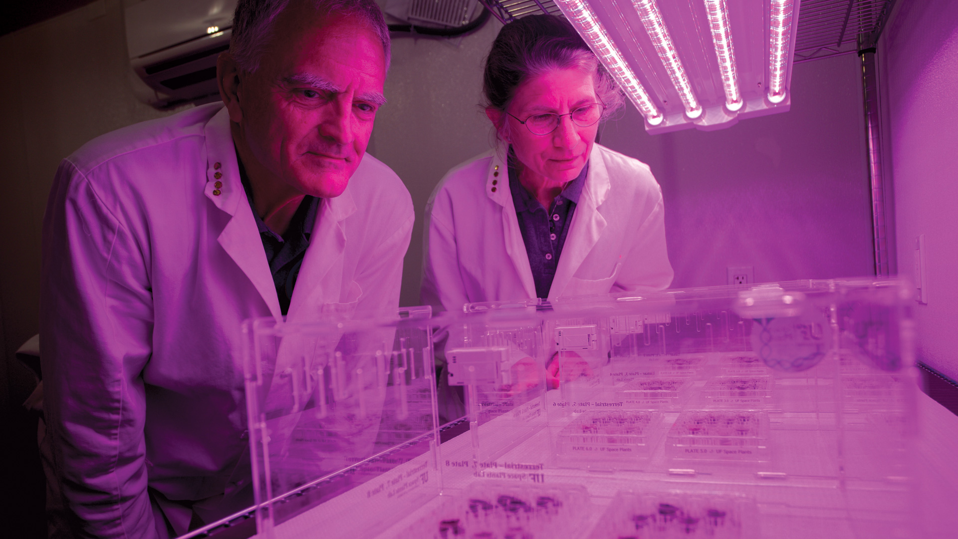 University of Florida launches Astraeus Space Institute - Explore Magazine